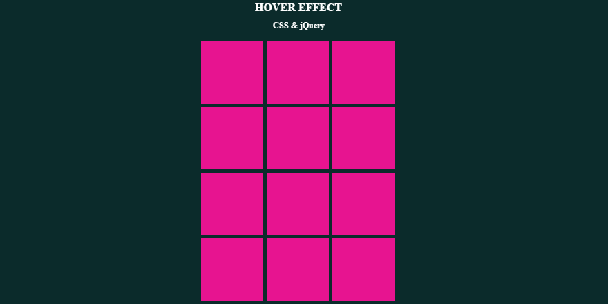 Grid Hover Effect Codemyui